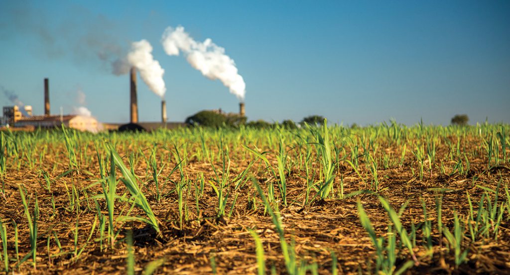 Sweet fix for MSF Sugar stirrer - BSC