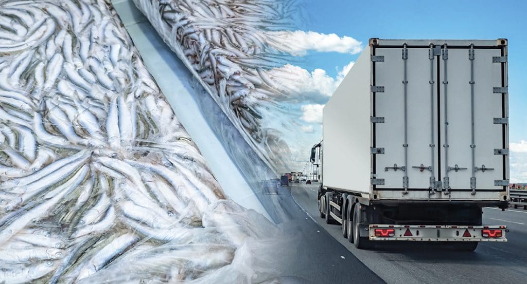 Keeping things fresh with SPECFAST - BSC